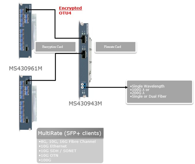 MICROSENS - MSP3000 Encryption modules AES-256